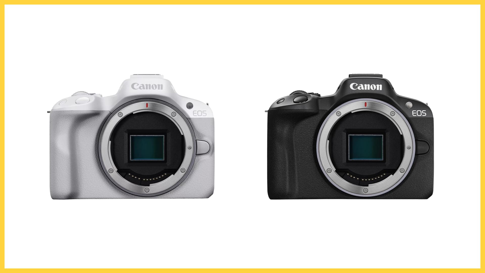 Canon EOS R50 - Top 10 Questions and Answers – BIKMAN TECH