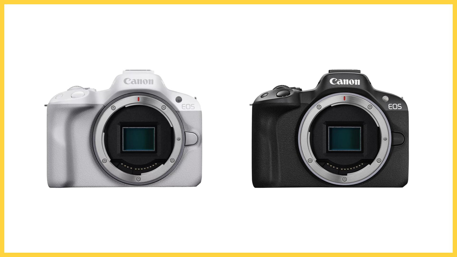 初心者向けCanon EOS R50 完全ガイド｜特徴と使い方 – BIKMAN TECH