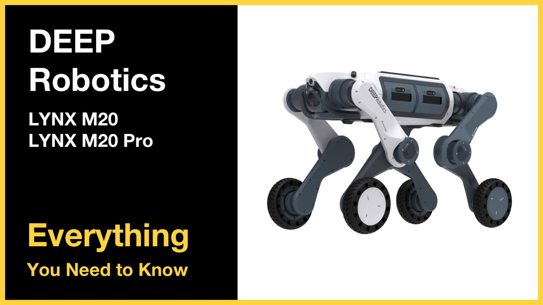 DEEP Robotics LYNX M20シリーズ - 知っておくべきすべて – BIKMAN TECH